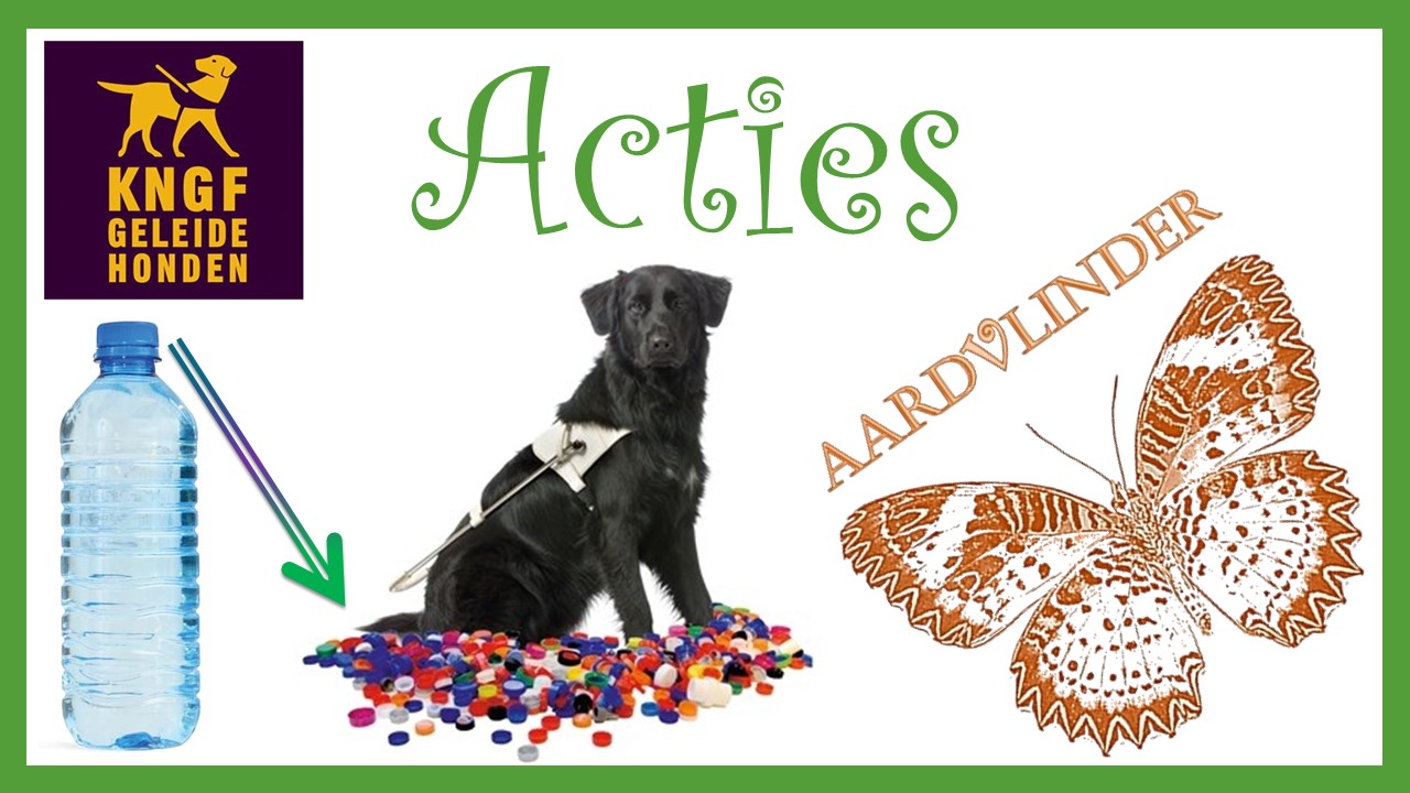 Doppen sparen voor KNGF geleidehonden – Aardvlinder